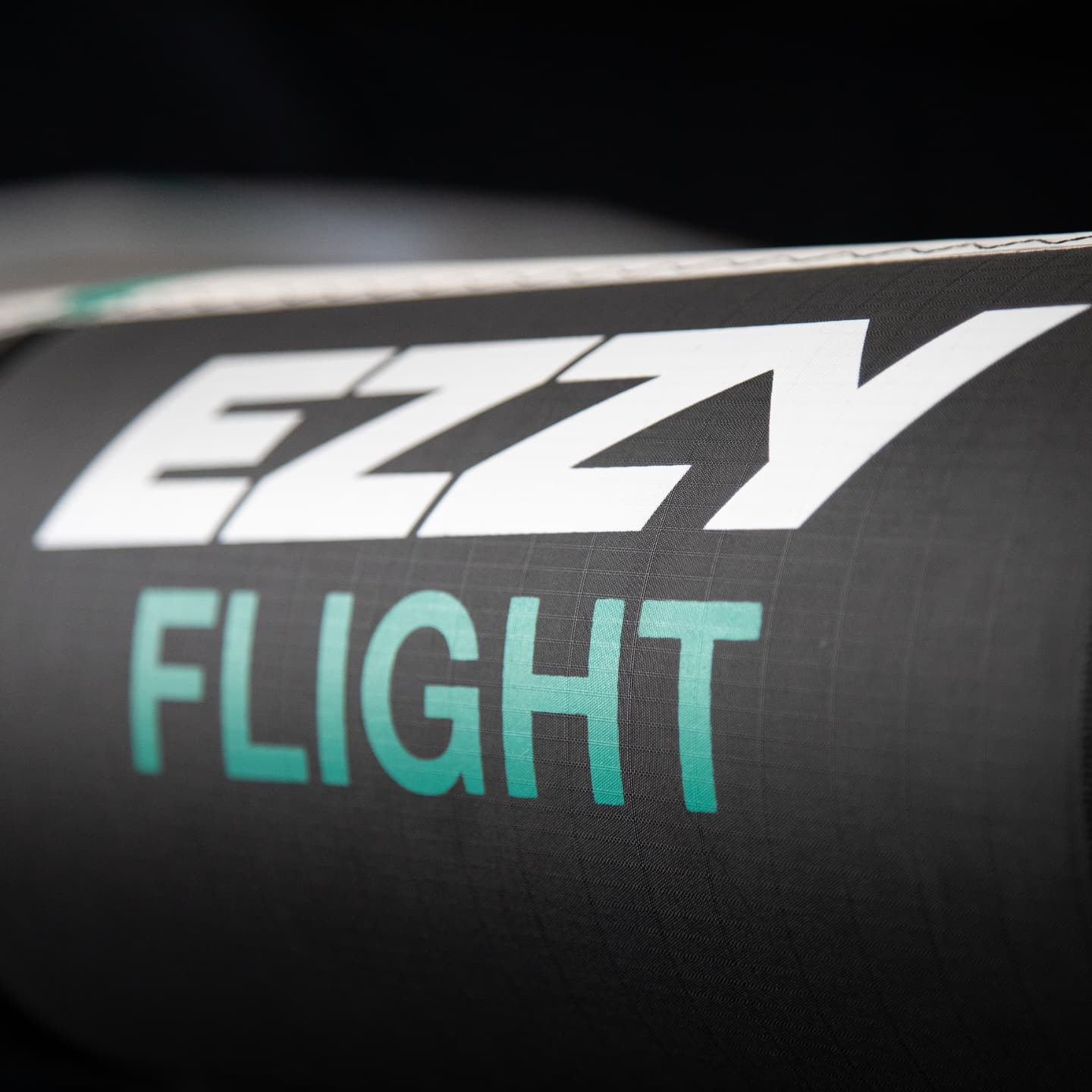 WINGS - EzzySails-japan